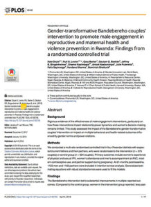 Bandebereho | Equimundo