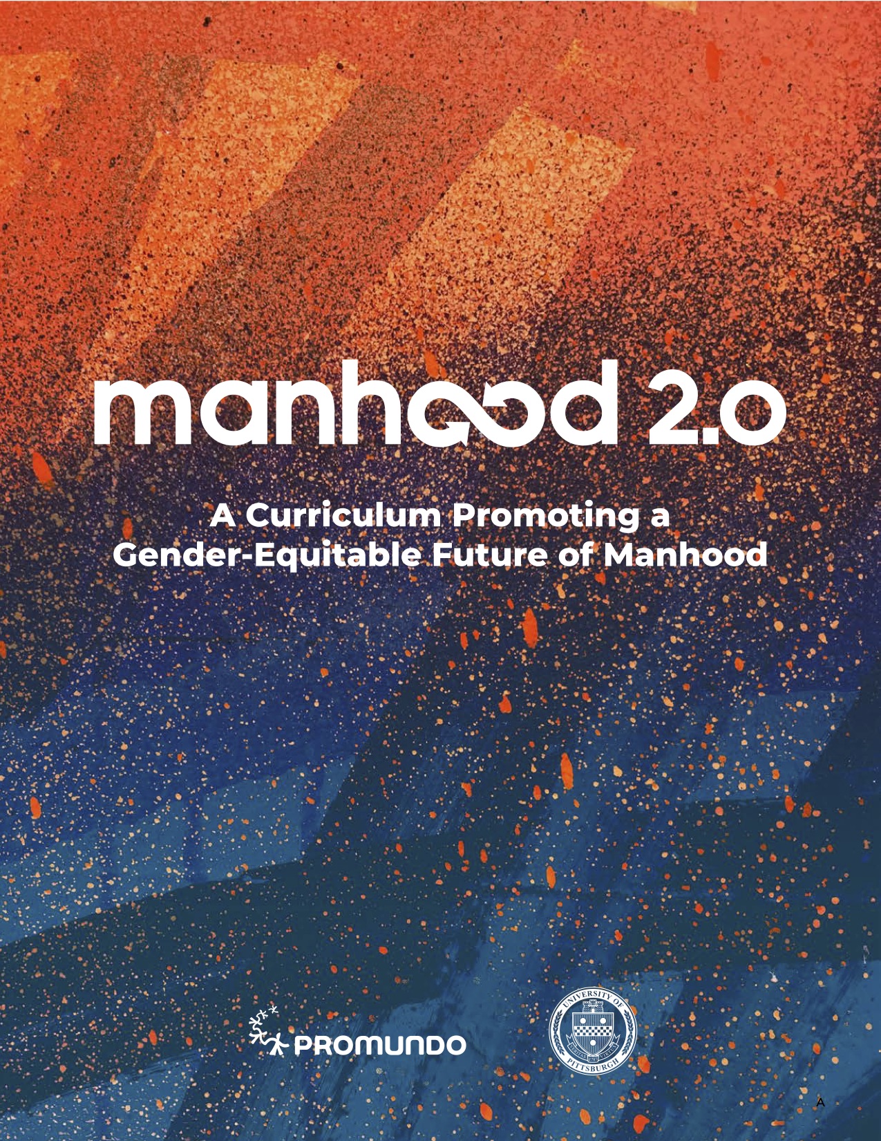Manhood 2.0: A Curriculum Promoting a Gender-Equitable Future of ...