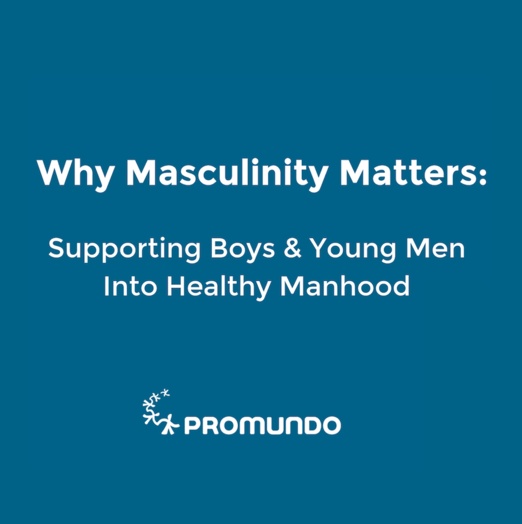 Reflections from Event on Why Masculinity Matters: Supporting Boys and ...